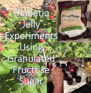 Fructose Sugar Jelly Experiments – FireBallTurtle